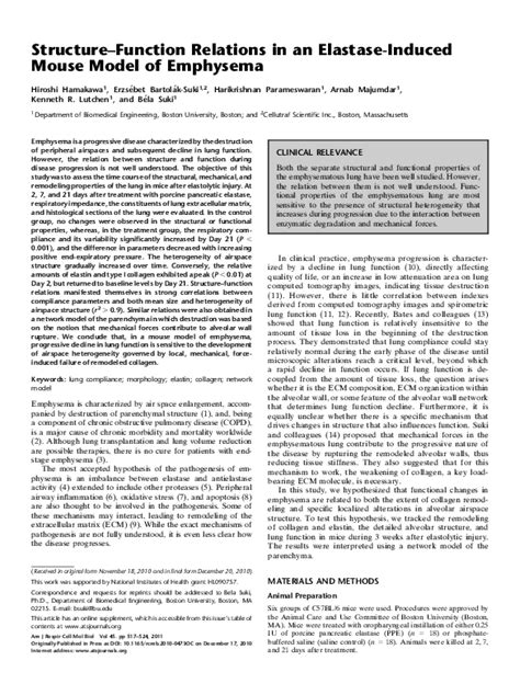 Pdf Structurefunction Relations In An Elastase Induced Mouse Model