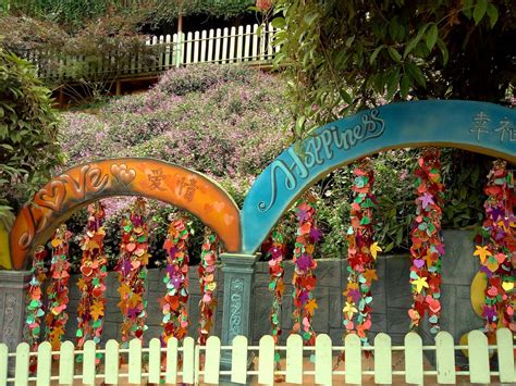 Cameron Lavender Foodveler