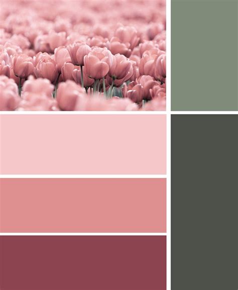 Gray To Pink Old Rose Color Palette Old Rose Color Color Schemes