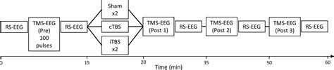 Assessing Neuromodulation Effects Of Theta Burst Stimulation To The
