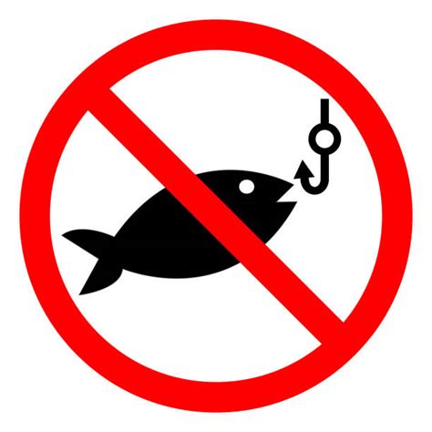 460 No Fishing Sign Stock Illustrations Royalty Free Vector Graphics