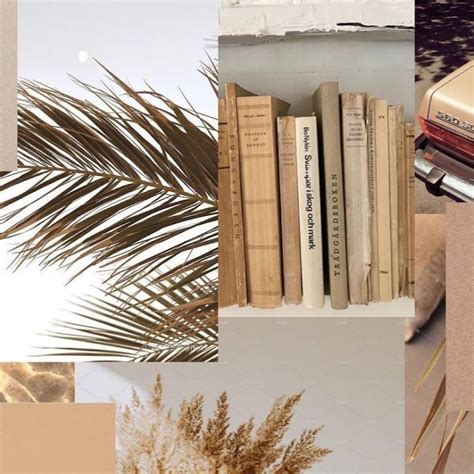 Olivia Talar Youtube