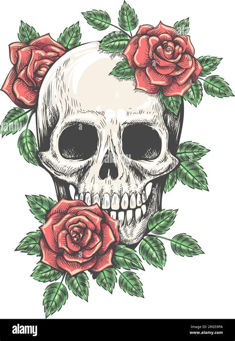 Skull And Rose Tattoo Outline