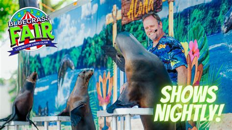 Sea Lion Splash At 2024 Bluegrass Fair Bluegrass Fair Lexington 6