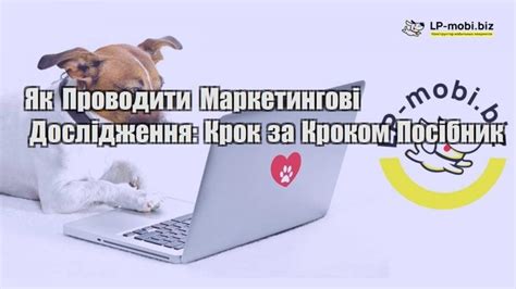 Як Проводити Маркетингові Дослідження Крок за Кроком Посібник lp mobi