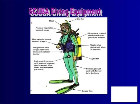 Mohammad Tarique Posted On Linkedin