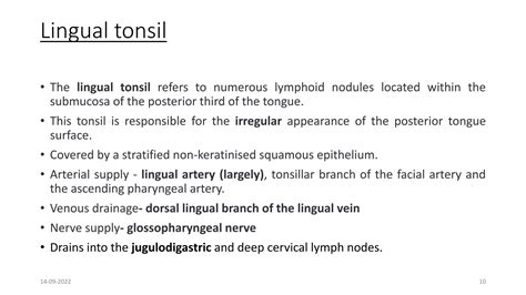 Anatomy And Lymphatic Drainage Of Oropharynx Pptx
