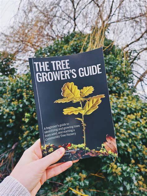 Trees For Congleton Trees For Congleton