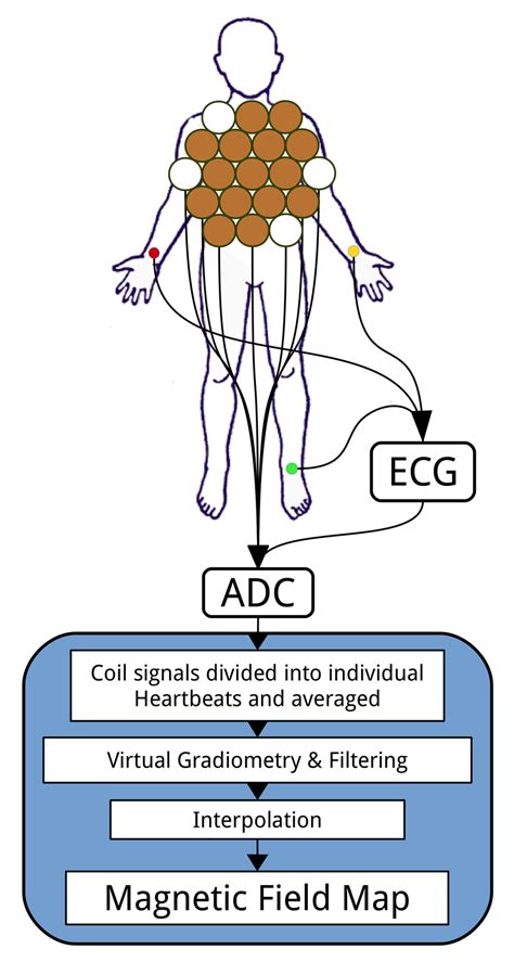 Detection Coil Structure And Basic Signal Flowchart Download Scientific Diagram