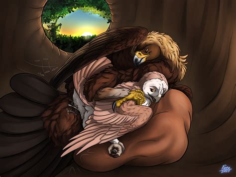 Rule34 Accipitrid Accipitriform Anatomicallycorrect Avian Barnowl