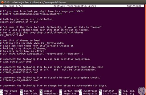Cómo Instalar Y Configurar Zsh Y Oh My Zsh En Linux Solvetic