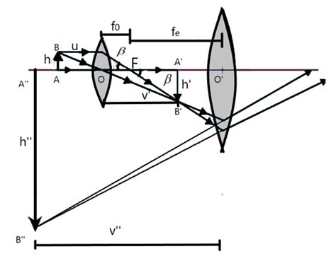 Compound Microscope Ray Diagram