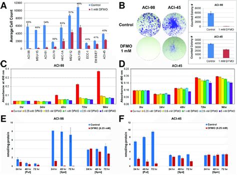 Colony Formation Cell Viability And Polyamine Levels In Dfmo Treated Download Scientific