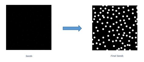 Github Prubiocosta3d Cell Segmentation With Imagej Github Prubiocosta3d Cell Segmentation With Imagej