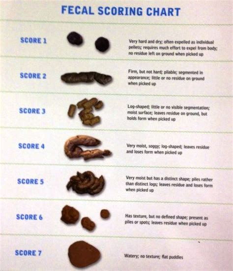Purina S Fecal Scoring Chart Artofit