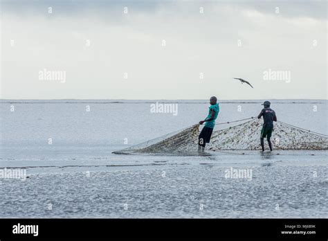Fishing With Nets Stock Photo Alamy