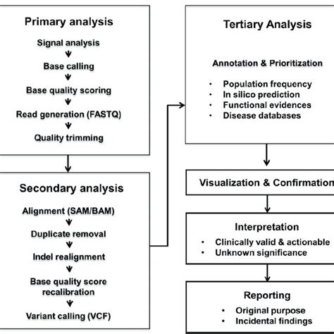 Overall Workflow Of Next Generation Sequencing Download Scientific Diagram