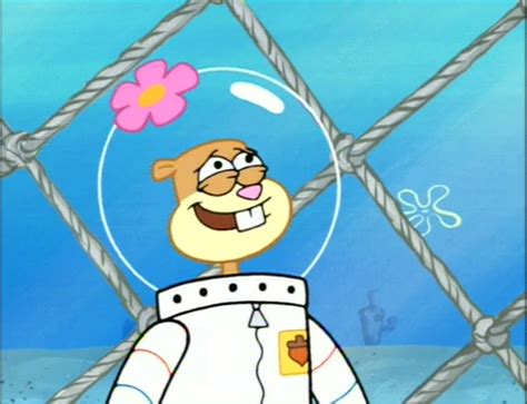 Spongebuddy Mania Spongebob Episode Wigstruck