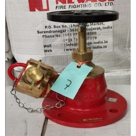 Newage Fire Hydrant Valve At ₹ 7100 Piece Fire Hydrant Water Valve In New Delhi Id