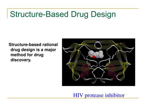 Ppt Protein Structures Powerpoint Presentation Free Download Id258068