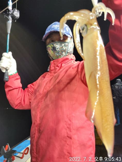 최고👍 100수이상~ 마릿수 짱이네요~ 함께하신 횐님 고생많으셨어요 ~ 7월은 계속 한치출항함니다~ 미끼천국선상출조전문 Band