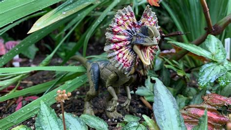 Jurassic World Hammond Collection Dilophosaurus Review Youtube