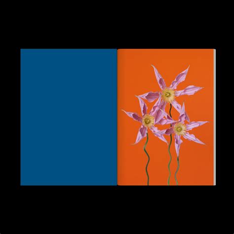 The Chromatics Of Flowers Readellion