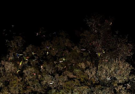 New Artist James Seow Exclusive Print Launch Eyestorm Magazine Article