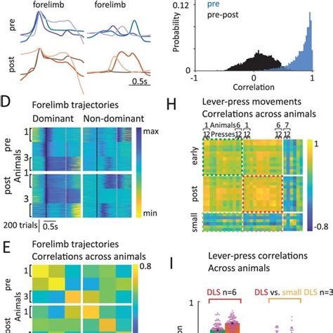 Small Lesions Of The Dls Affect Performance And Movement Kinematics But