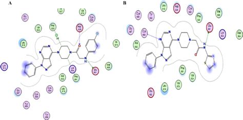 A And B 2d Representation Of Compound Xviiic And Xvi In Flt3 Kinase Download Scientific Diagram