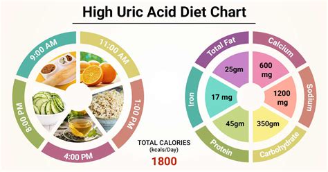Diet Chart For High Uric Acid Patient High Uric Acid Diet Chart Lybrate