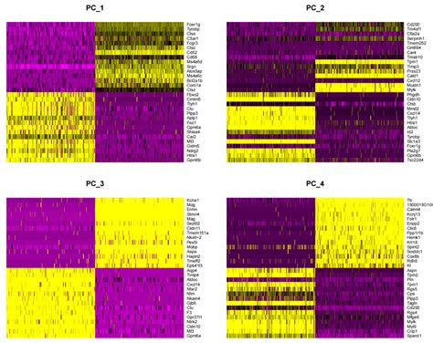 一站式单细胞测序数据下游分析 云生信