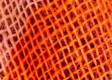 Bright Homemade Network A Fragment Of Fabric Textiles In Detail