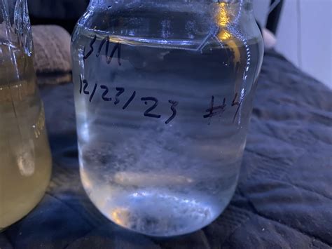 Peptone Is The Superfood For Both Agar And Liquid Cultures R Shroomers