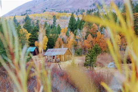 Visit Markleeville Best Of Markleeville Tourism Expedia Travel Guide