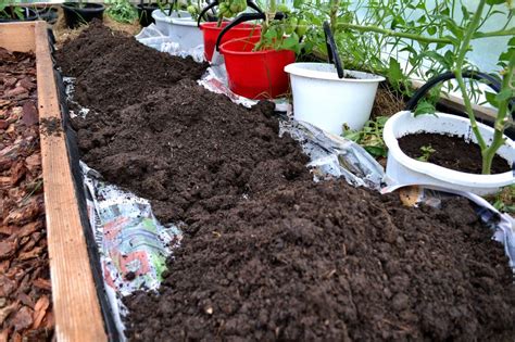 How To Get Rid Of Couch Grass Sara At Skillnadens