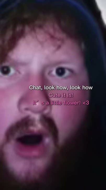 Chat Look How Look How Cute It Is Caseoh Youtube