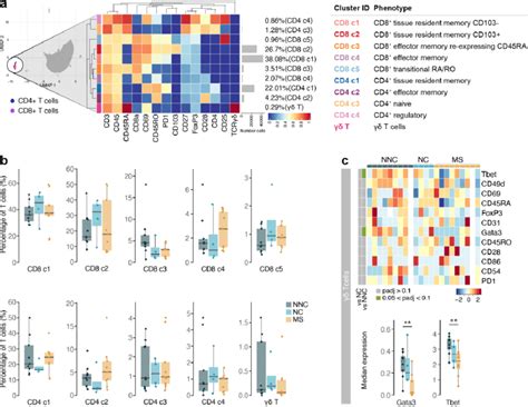 Phenotyping The T Cell Populations In The Septum Using Mass Cytometry