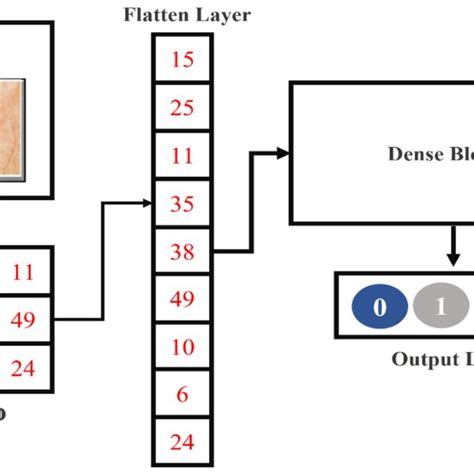 The Fundamental Structure Of The Flattened Layer Download Scientific