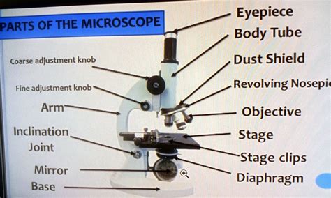 Parts Of The Microscope Coarse Adjustment Knob Fine Adjustment Knob Arm
