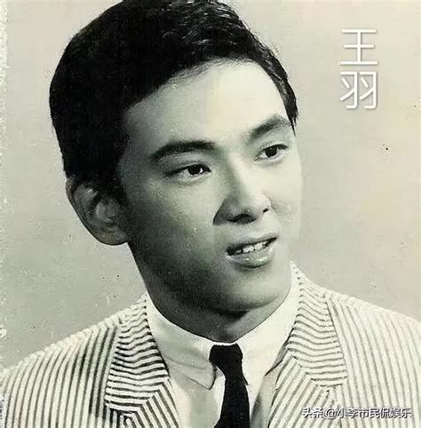 王羽个人资料简介（演员王羽有多厉害？） 说明书网