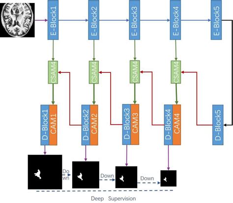 Frontiers Cross Attention And Deep Supervision Unet For Lesion Segmentation Of Chronic Stroke