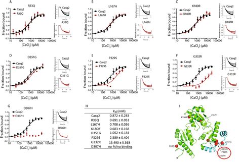 Calcium Binding To Calsequestrin Mutants A G Mst Analysis Of Ca²⁺ Download Scientific