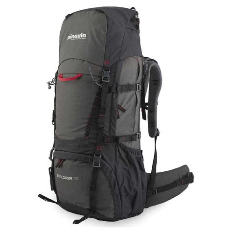 Pinguin Explorer 75l Backpack Grey Trekkinn