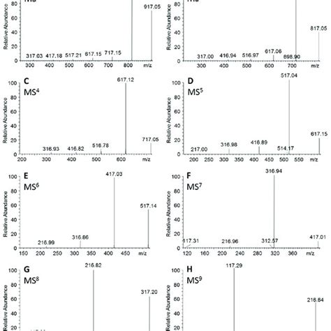 Scheme 1 The Ring Opening Polymerization Of Valerolactone Initiated