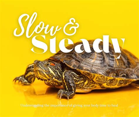 Brenna Teston On Linkedin 🐢💨