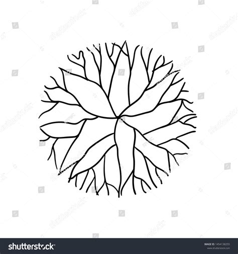 Tree Ariel View Over 22 Royalty Free Licensable Stock Illustrations