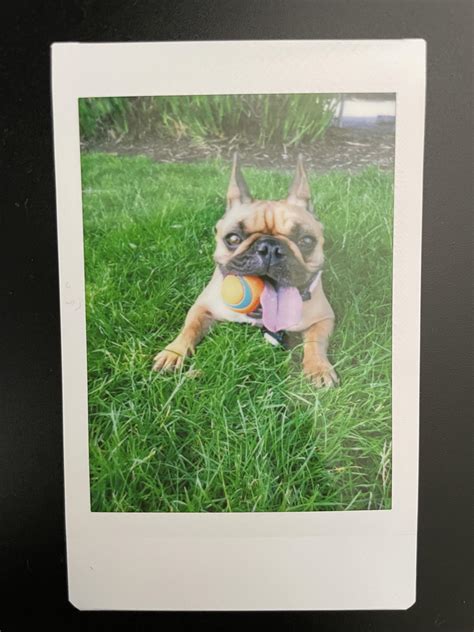 Willow And Her Ball Scrolller