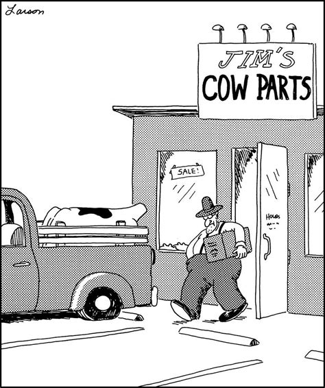 The Far Side