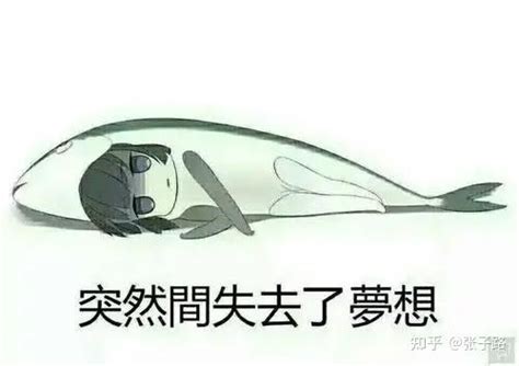 使用pyinstaller打包python碰到的一些问题 知乎